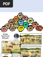 ? Population Ecology - Grade 11 Life Sciences | PDF | Population Growth ...