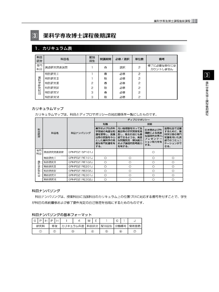 Yakukagaku Curriculum Ps-Doctor | PDF