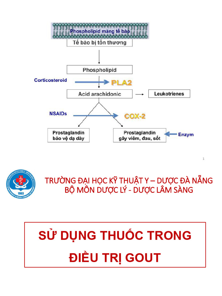 Su Dung Thuoc Trong Dieu Tri Gout | PDF