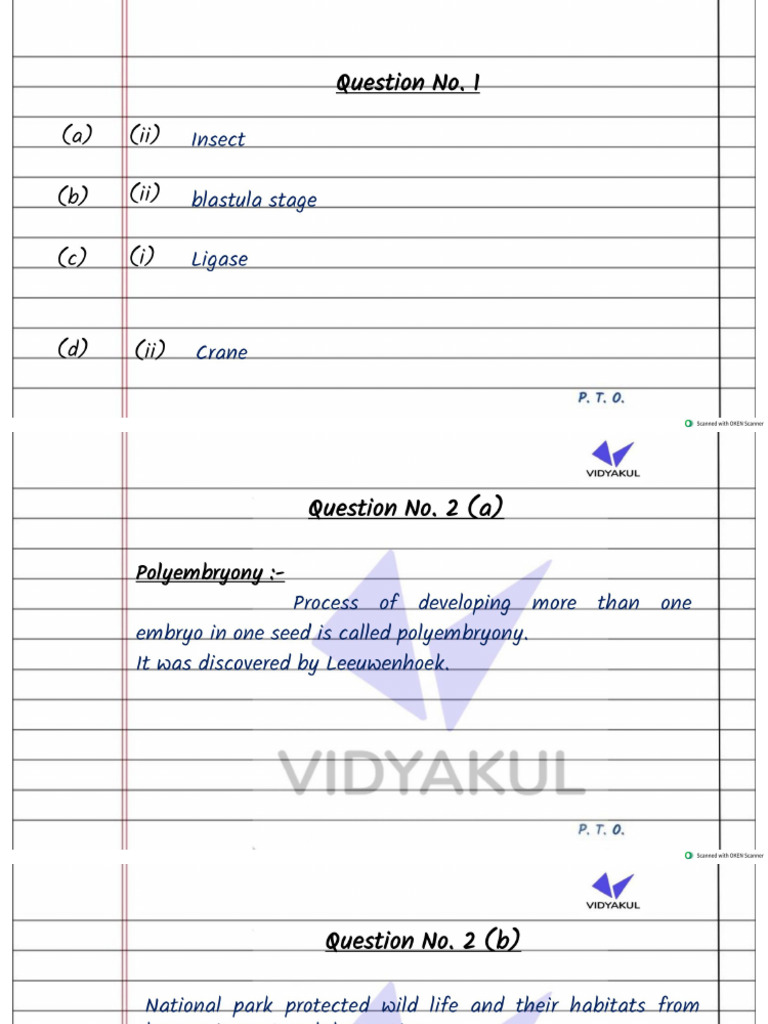 Model Paper I | PDF