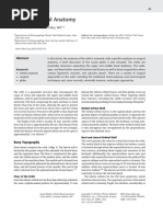 Optic Foramen Radiographic Overview | PDF