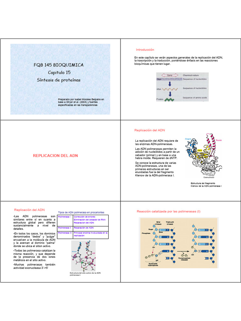 Síntesis de Proteínas: Replicación y Transcripción | PDF | Traducción ...