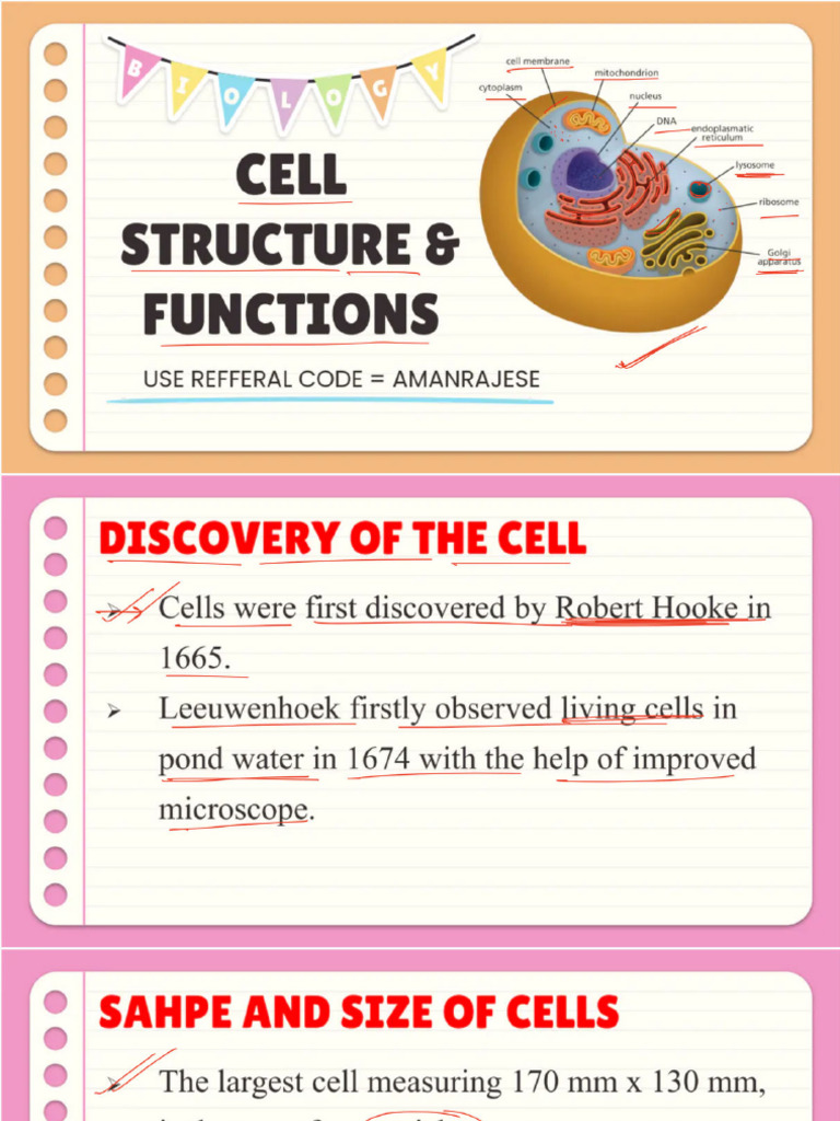 Cell Structure | PDF
