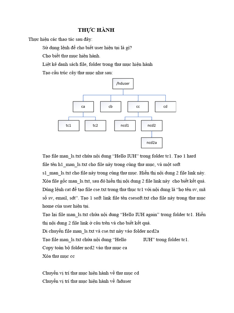 Lab01 Linux-Shell | PDF