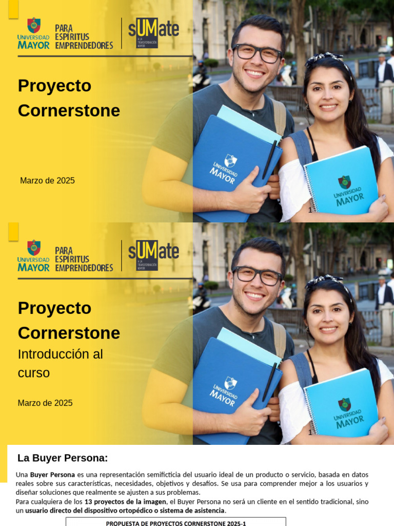 PPT6 Buyer Persona | PDF