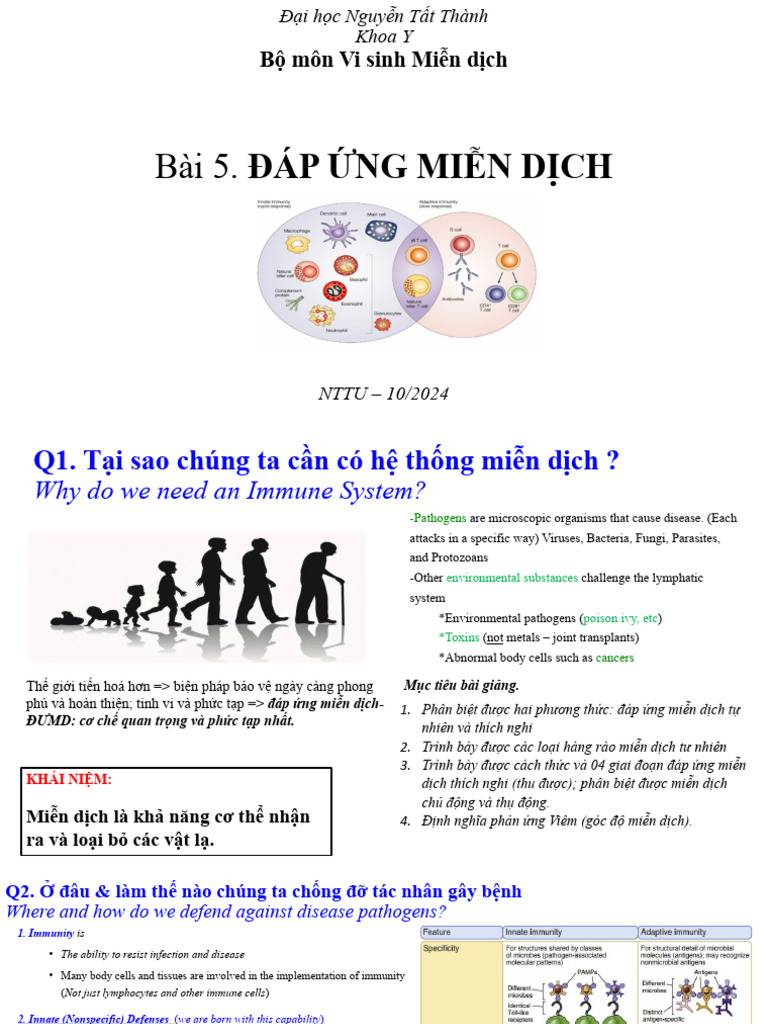 Bài 5 Đáp Ứng Miễn Dịch Nttu | PDF