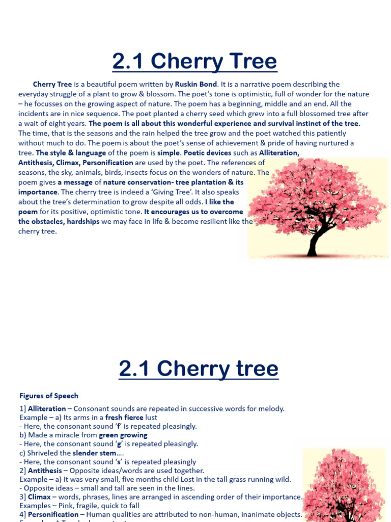 Appreciation of Cherry Tree | PDF