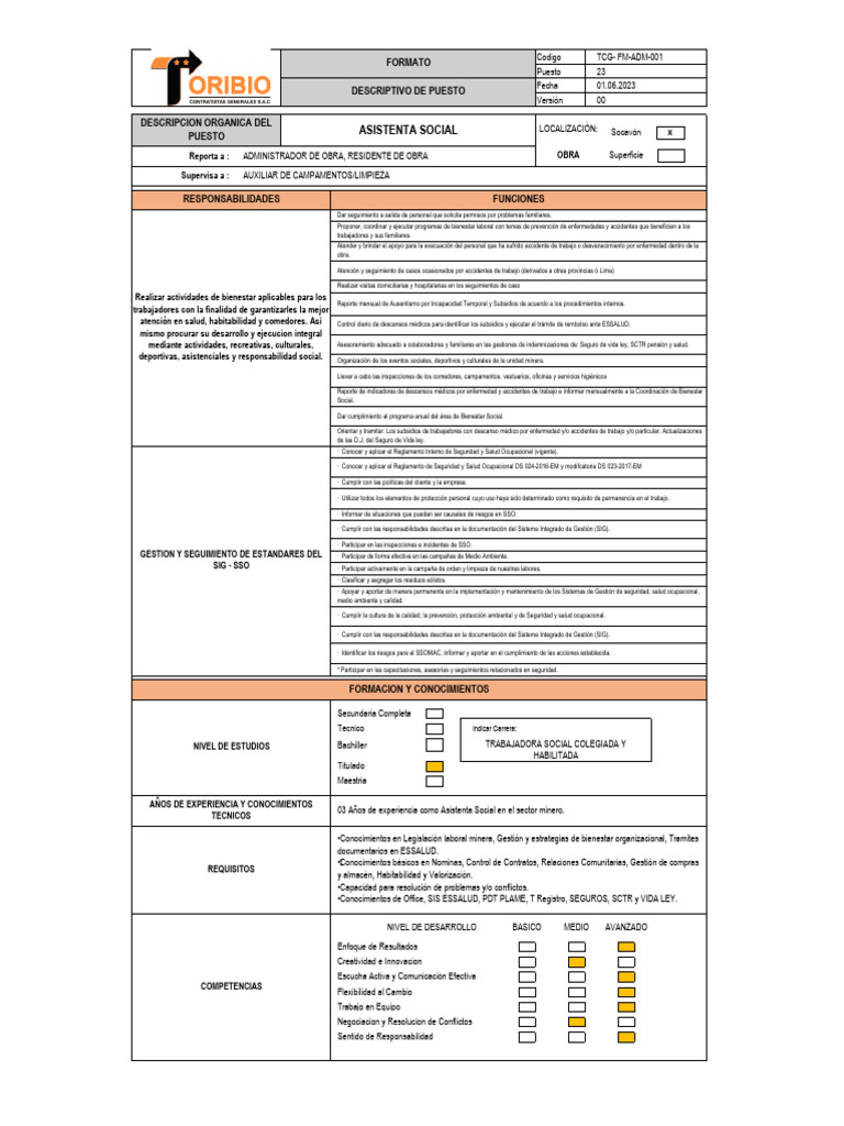 Asistente Social en Minería: Funciones y Requisitos | PDF | Seguridad y ...