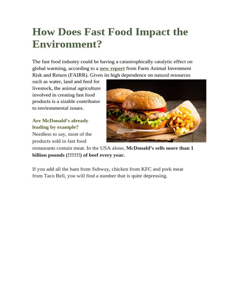 How Does Fast Food Impact The Environment | PDF