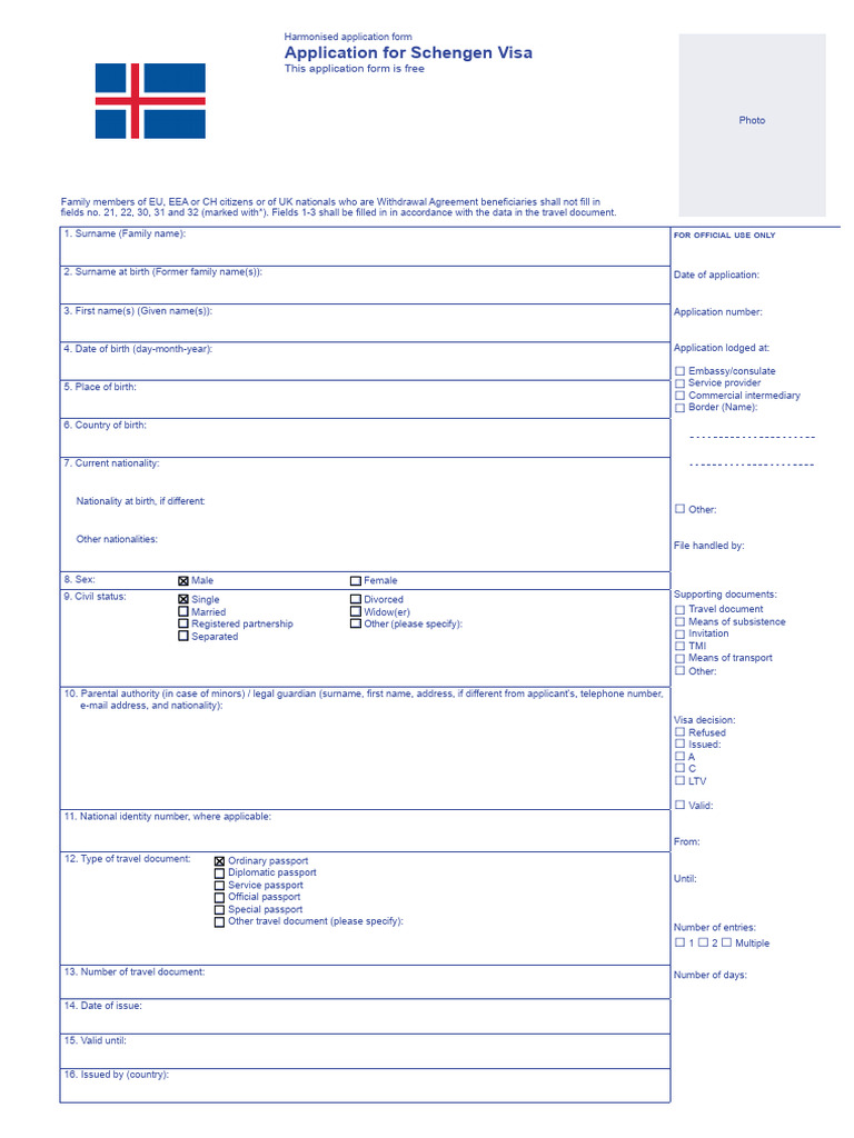 Nayan Prafull Thar Form | PDF | Travel Visa | International Law
