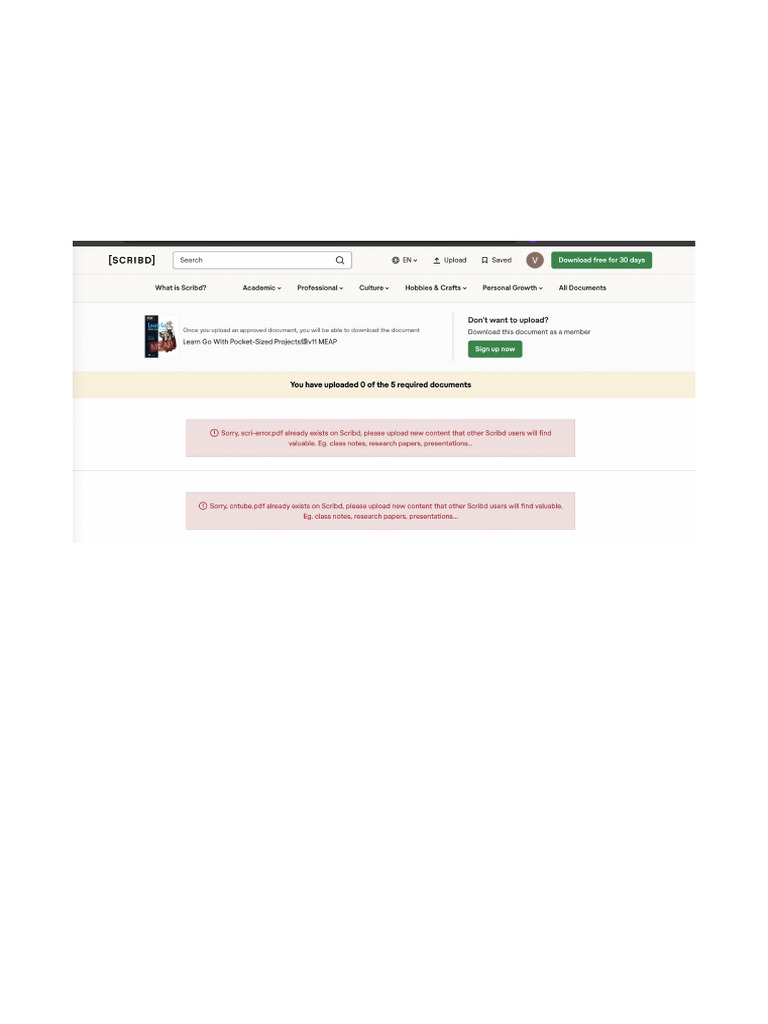 Error Messages For Scribd | PDF