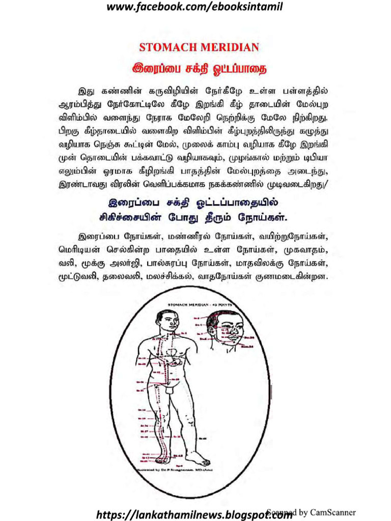Stomac Points & Needle Details | PDF