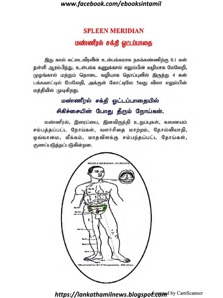 Spleen Points & Needle Details | PDF
