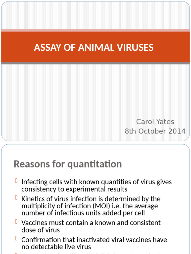 Assay of Animal Viruses | PDF | Microbiology | Virology