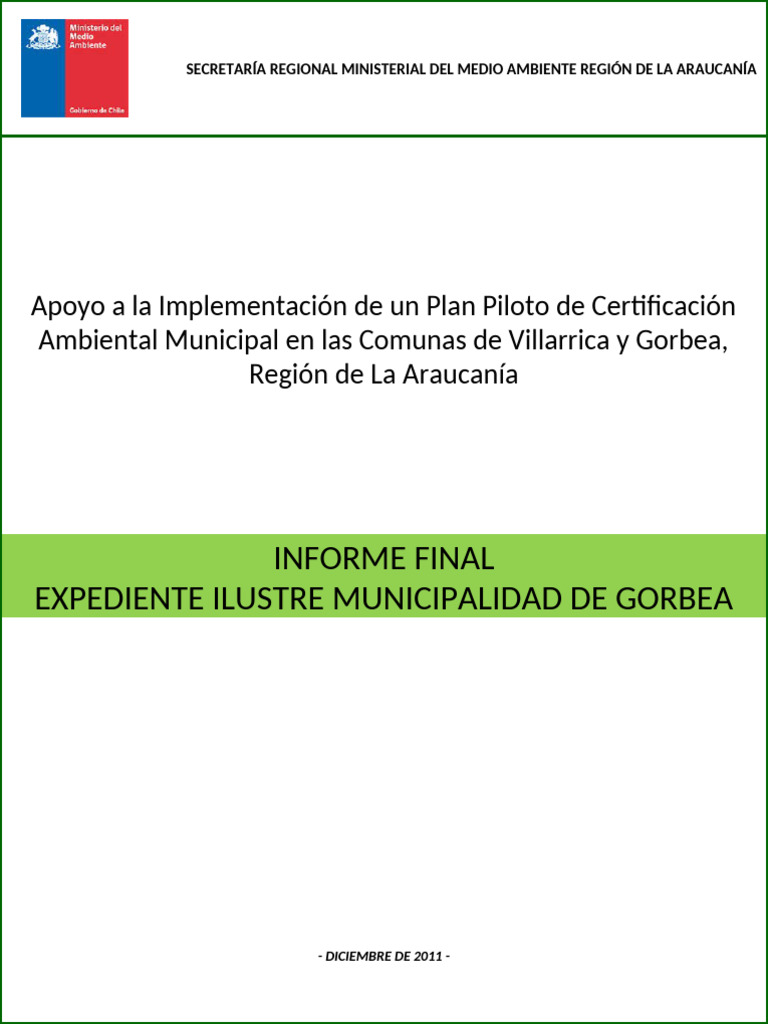 Tapa Informe Final | PDF