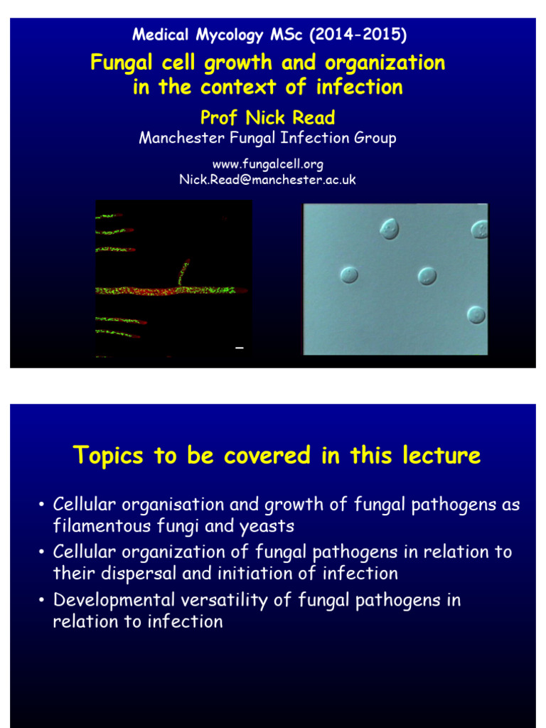 Medical Mycology MSc - Cell Growth and Organization (Oct 2014) | PDF ...