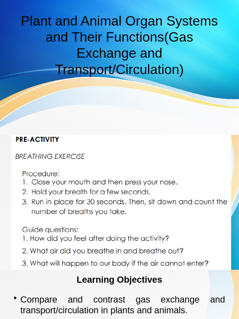 Gb2 4.2. Gas Exchange | PDF | Circulatory System | Respiratory System