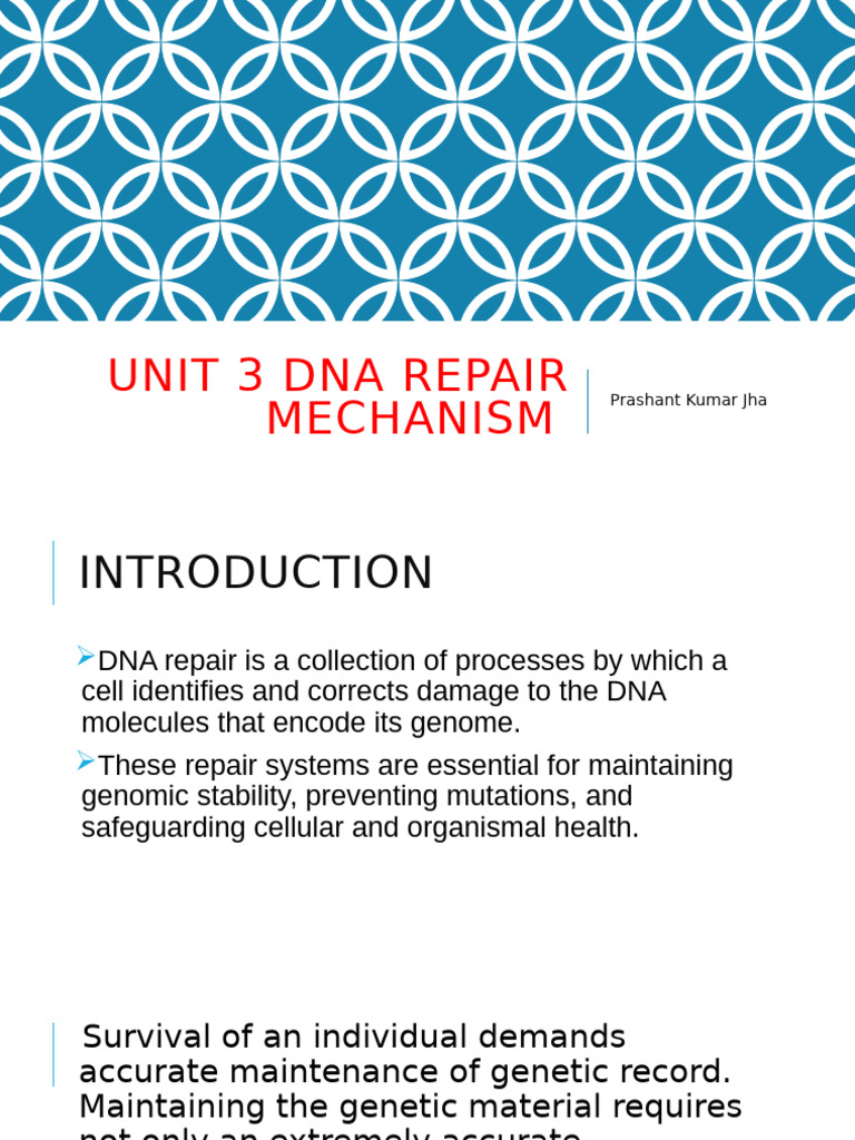 DNA Repair Mechanisms and Mutation Rates | PDF | Dna Repair | Mutation