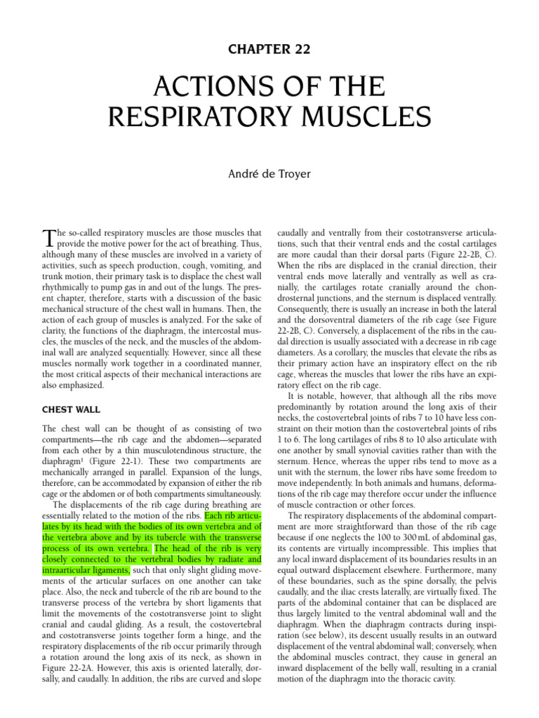 Respiratory Muscle Function Explained | PDF | Abdomen | Thorax