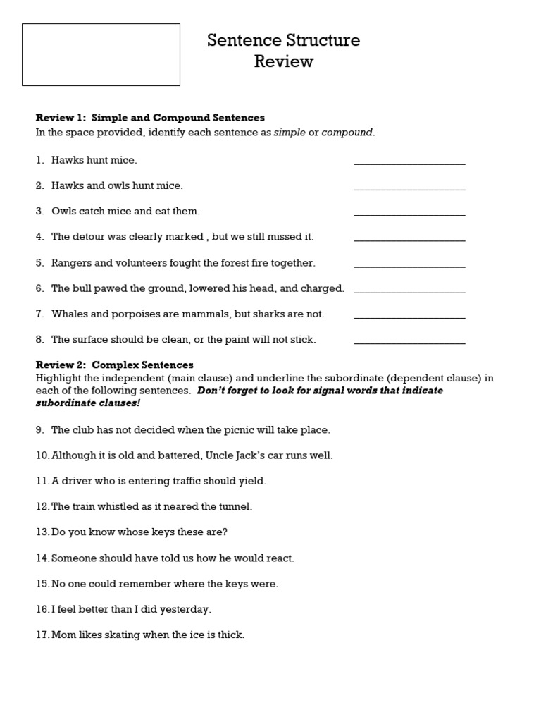 Sentence Structure Review HW | PDF