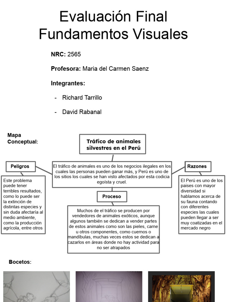 Evaluación Final Fundamentos Visuales | PDF
