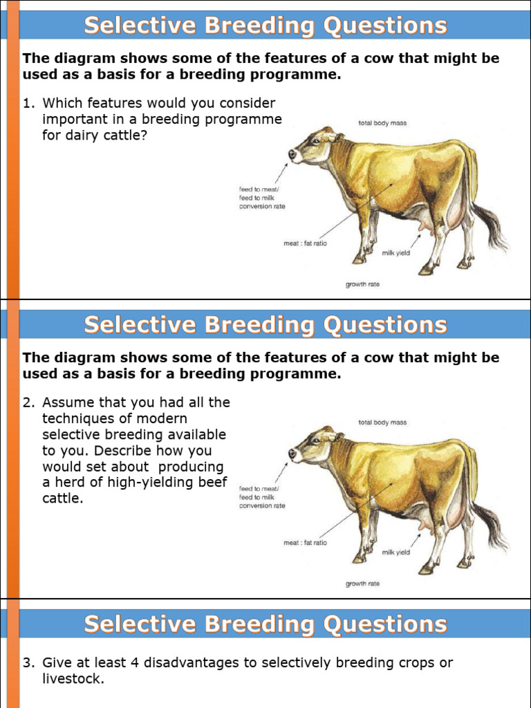 Breeding and Genetic Modification Insights | PDF