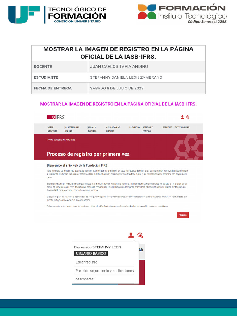 Mostrar La Imagen de Registro en La Página Oficial de La IASB-IfRS. | PDF
