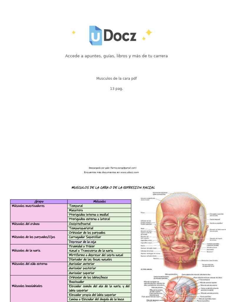Musculos de La Cara 384467 Downloadable 8591627 | PDF | Nariz humana | Cara