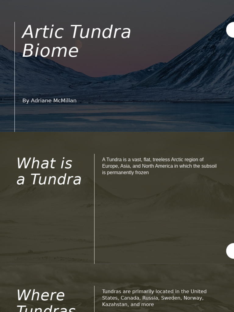 Arctic Tundra: Biome and Apex Predators | PDF
