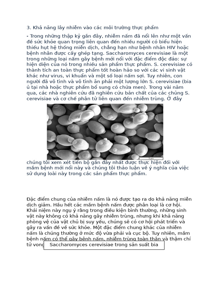 VSTP Saccha | PDF