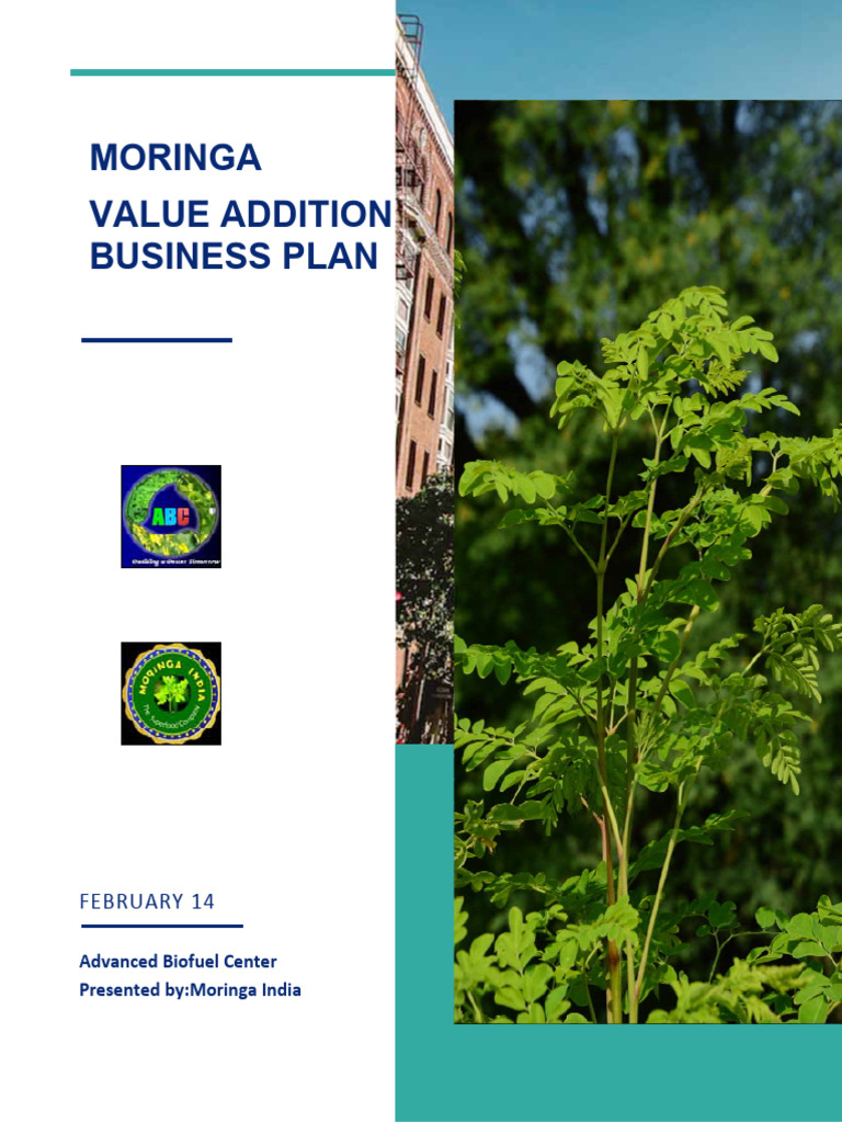 Moringa Value Addition Business Plan | PDF