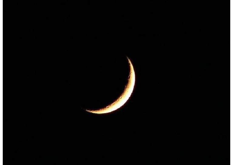 PDFReader 20250402 1812 | PDF