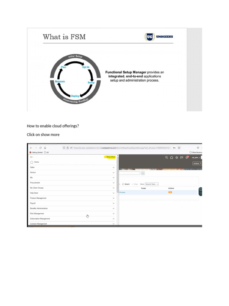 8.functional Set Up Manager FSM | PDF
