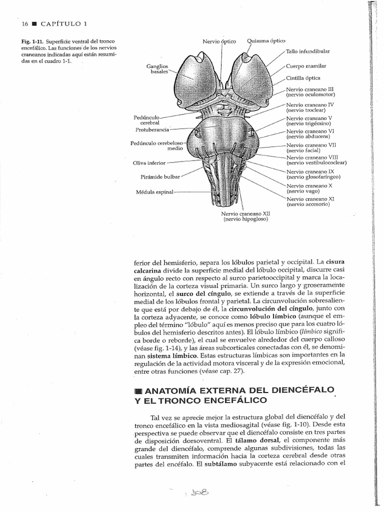 FBPE 1 2 Y 3-Páginas-2 | PDF