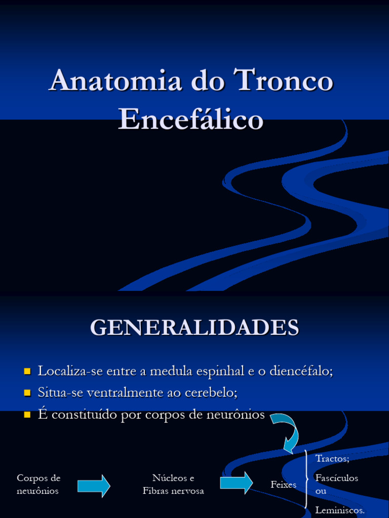 Aula 4 Tronco Encefálico Diencéfalo e NC | PDF | Hipotálamo | Medula espinhal