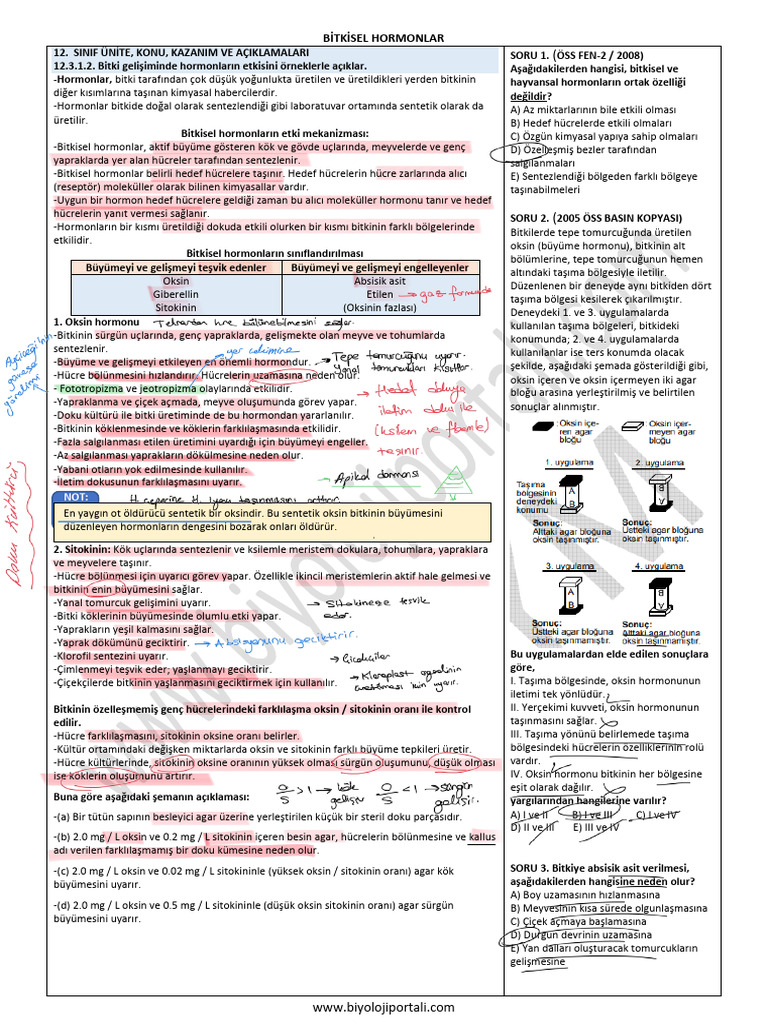 Bitkisel Hormonlar | PDF