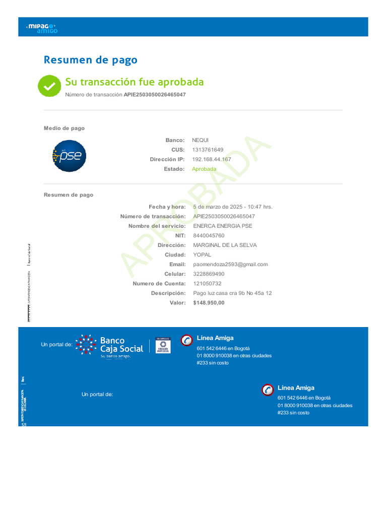 APIE2503050026465047_20250305 | PDF