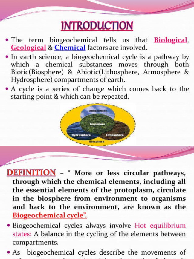Biogeochemical Cycle | PDF