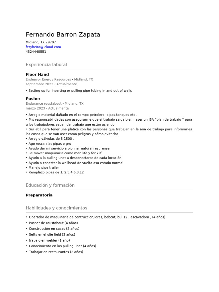 Resume Nuevo Fernando | PDF