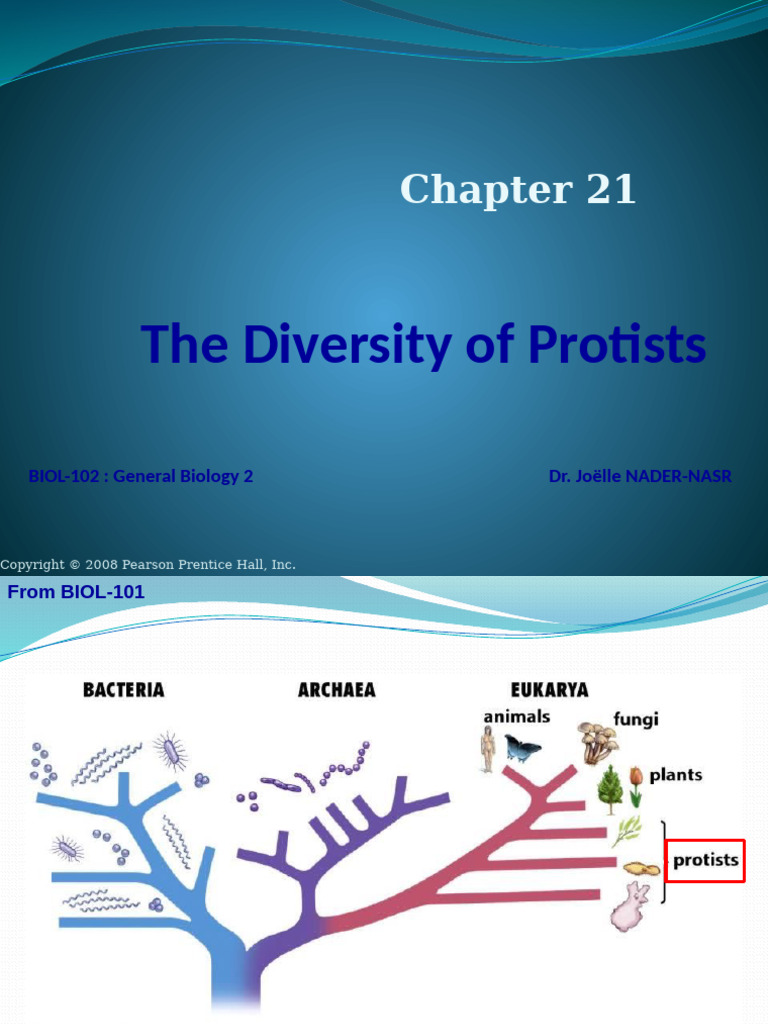 BIOL-102 Chapter 21 The Diversity of Protists (ELearning Spring2021 ...