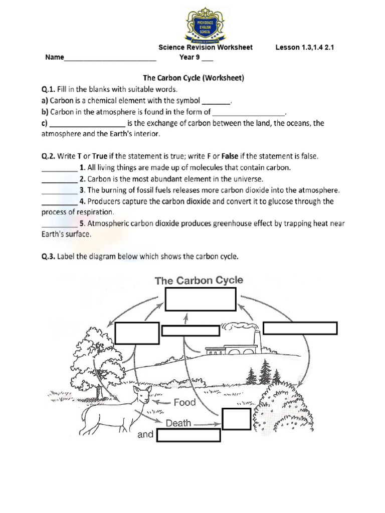 Answers of Revision Worksheet Yr 9 | PDF | Carbon Dioxide | Earth