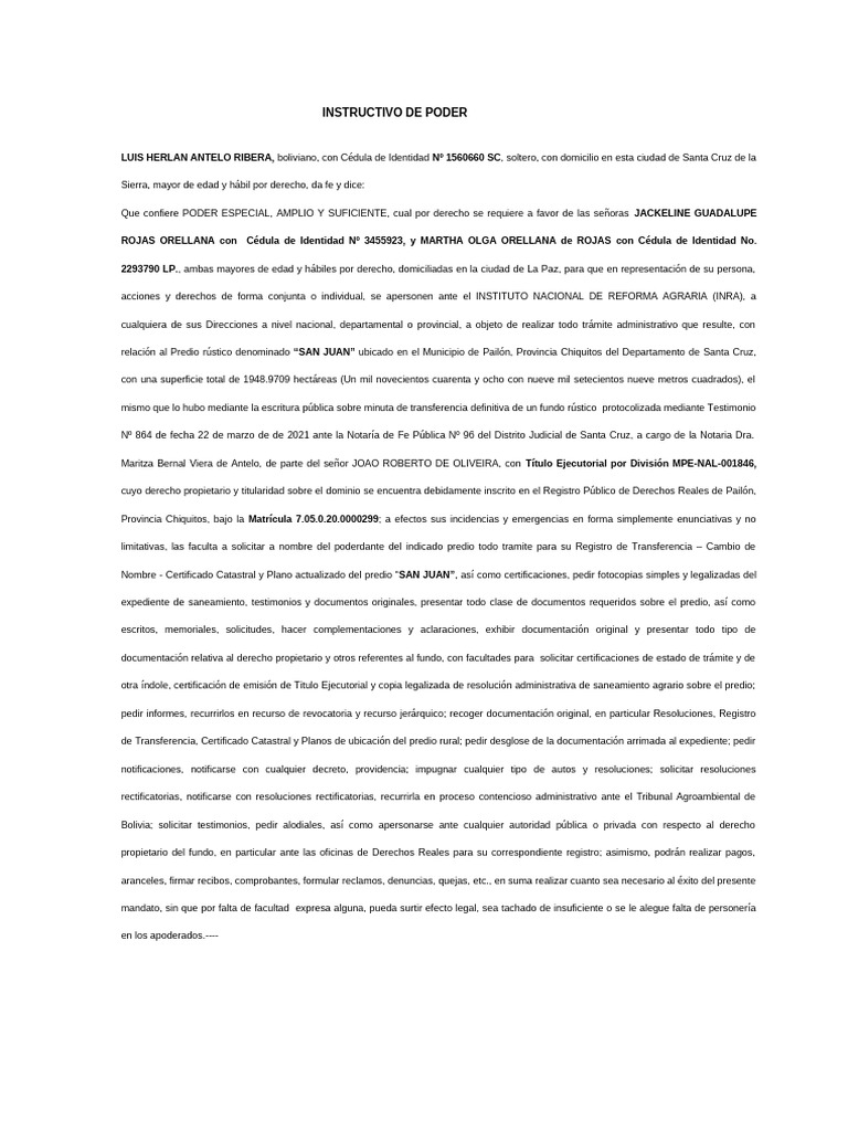 INSTRUCTIVO DE PODER - INRA - San Juan (Nuevo) | PDF