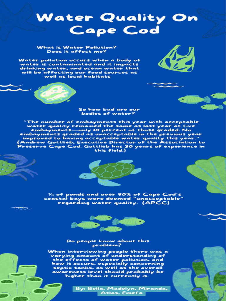 Cape Cod Water Pollution Insights | PDF