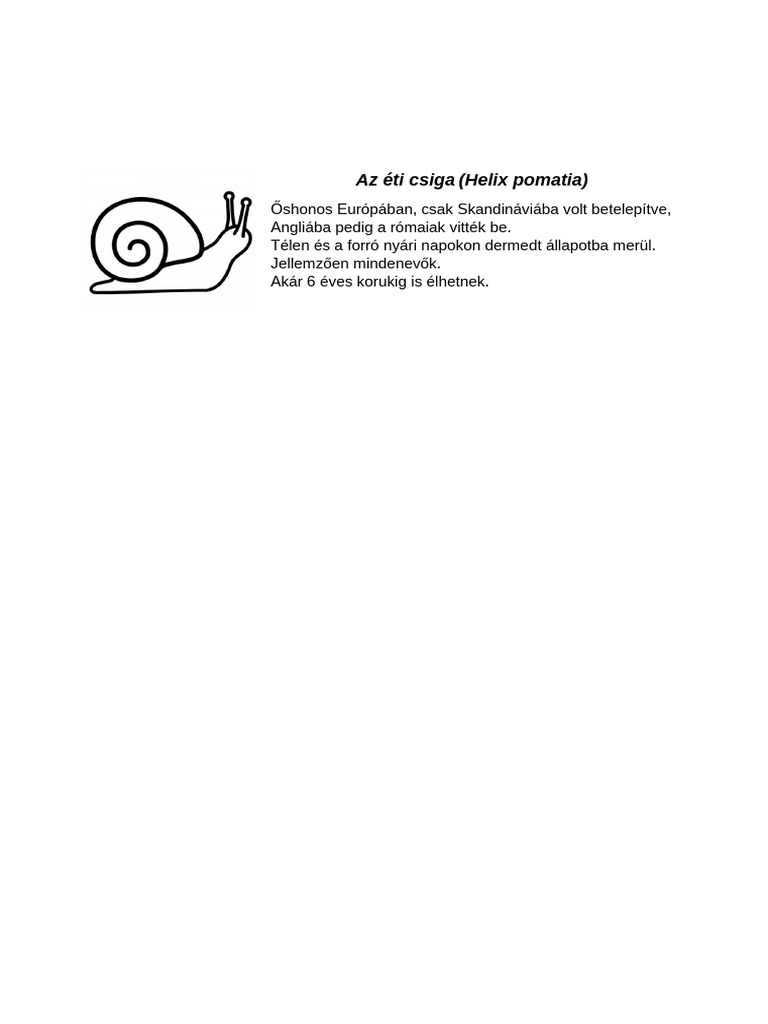 Csiga | PDF