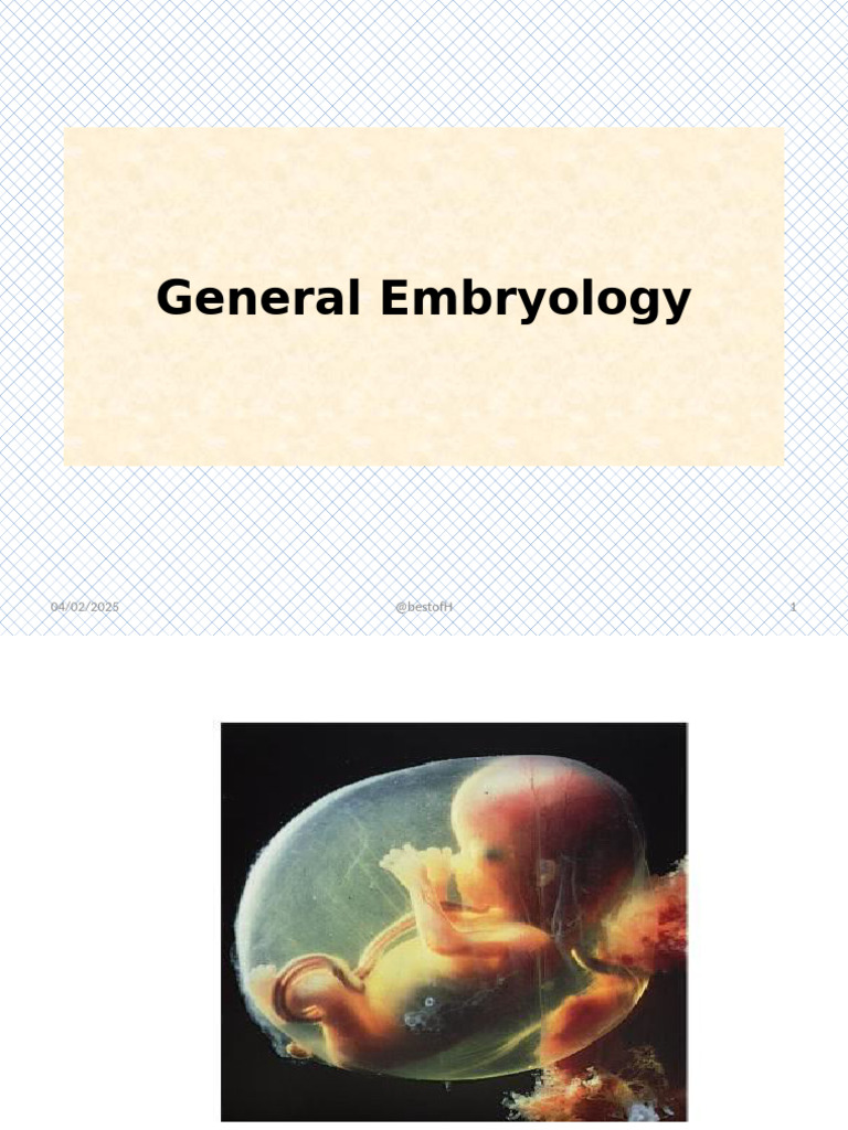 Lecture-4 General Embryology | PDF | Reproduction | Anatomy