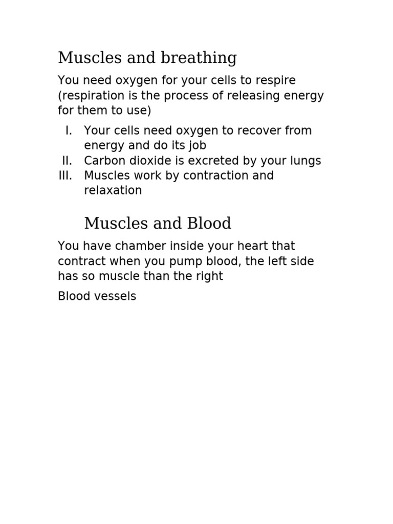Muscles and Breathing | PDF