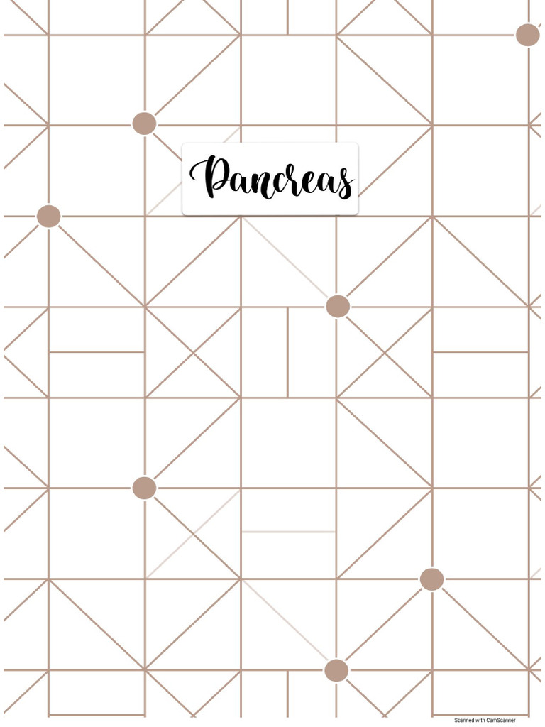 Pancreas Surgery | PDF