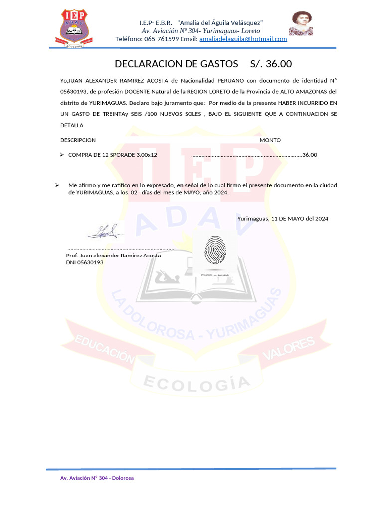 DECLARACION JURADA SIN BOLETAS 2023 | PDF | Control de acceso | Autenticación