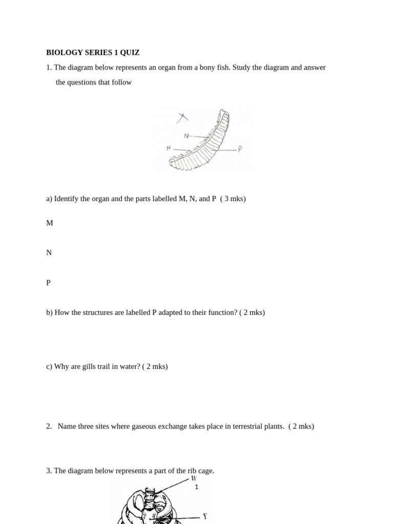 Biology Quiz: Gaseous Exchange Systems | PDF