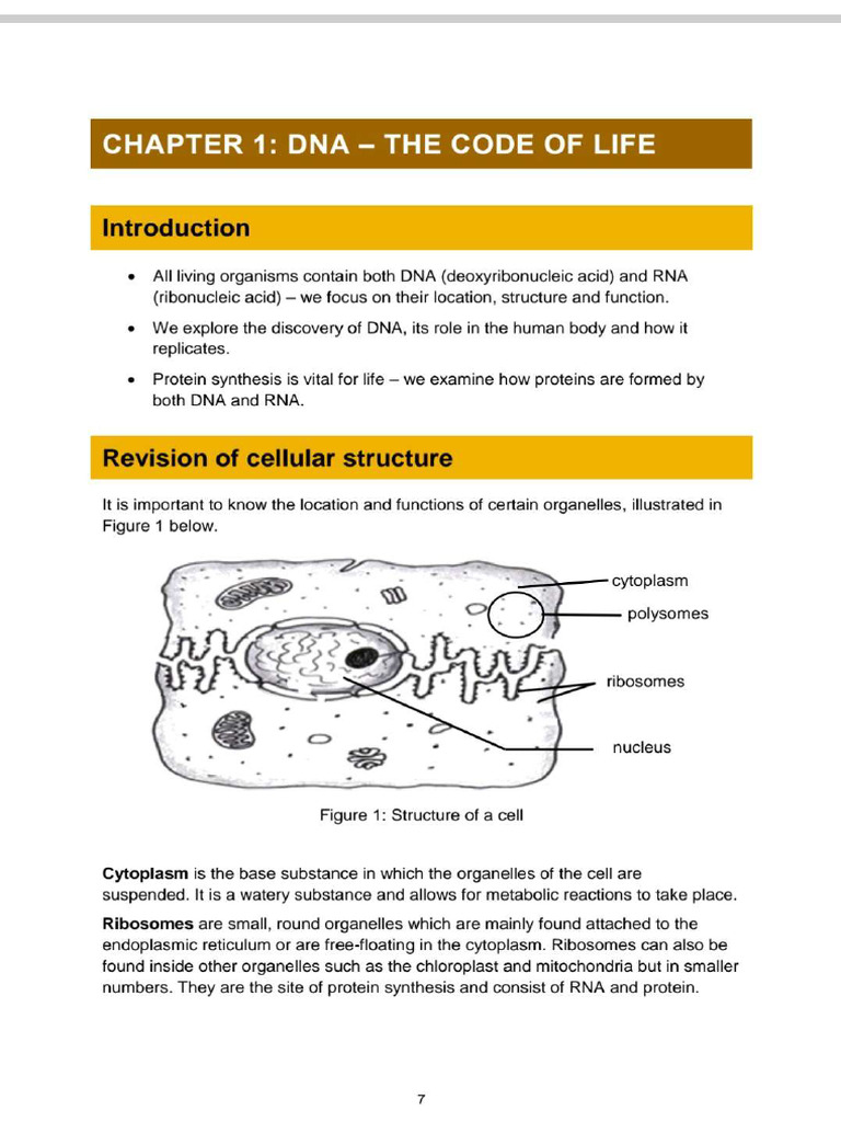 DNA CODE OF LIFE | PDF